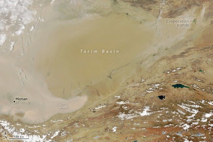 tarim basin