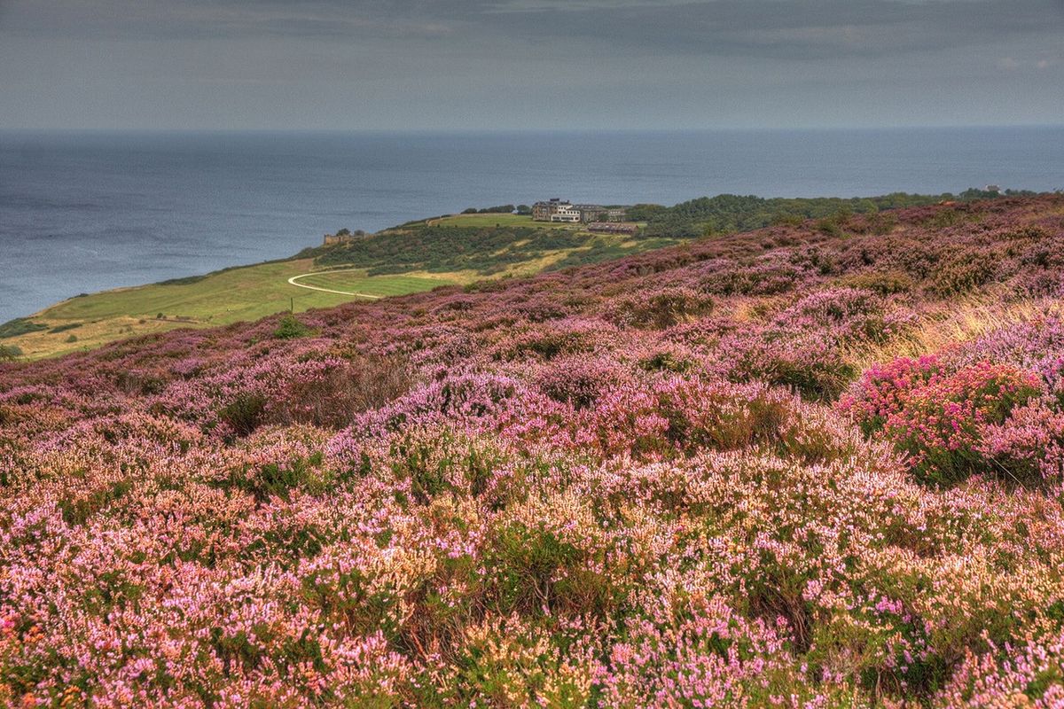 The Timeless Moors of Yorkshire - NASA Science