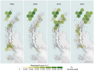 Satellites Reveal a Greener Antarctic Peninsula - NASA Science