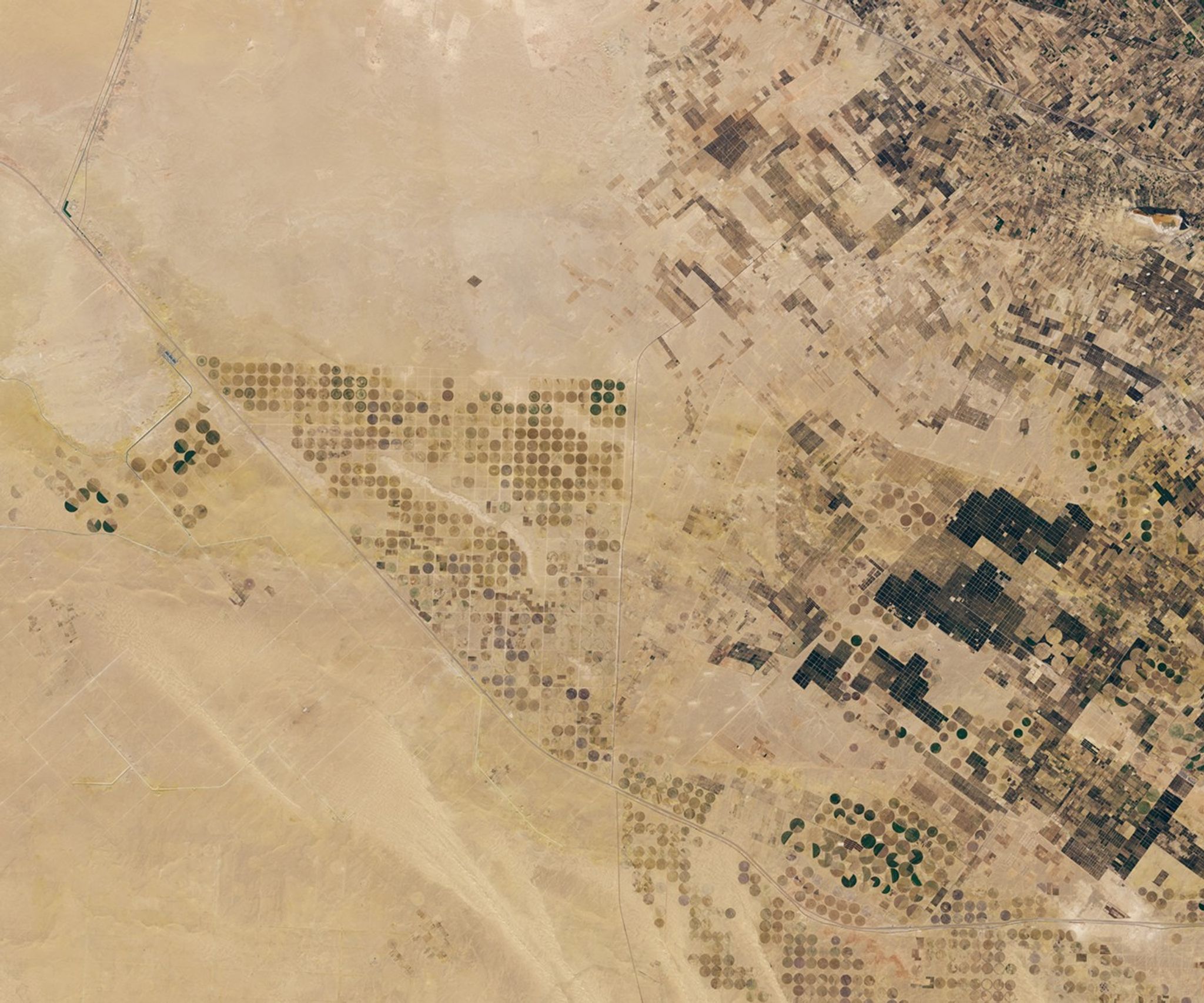 A “New Delta” in the Desert - NASA Science