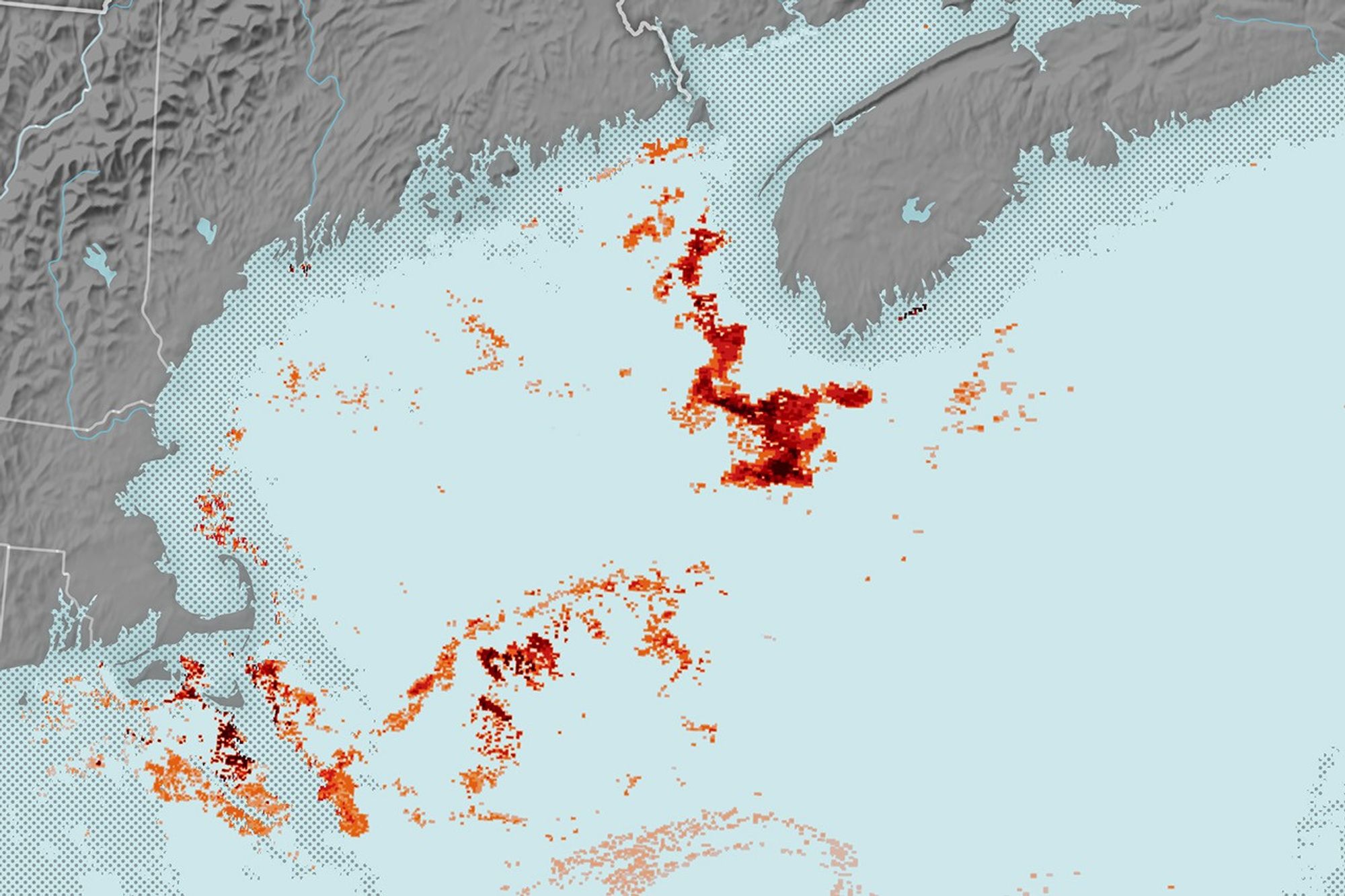 Mapping the Tiny Plankton That Feed Giant Right Whales - NASA Science