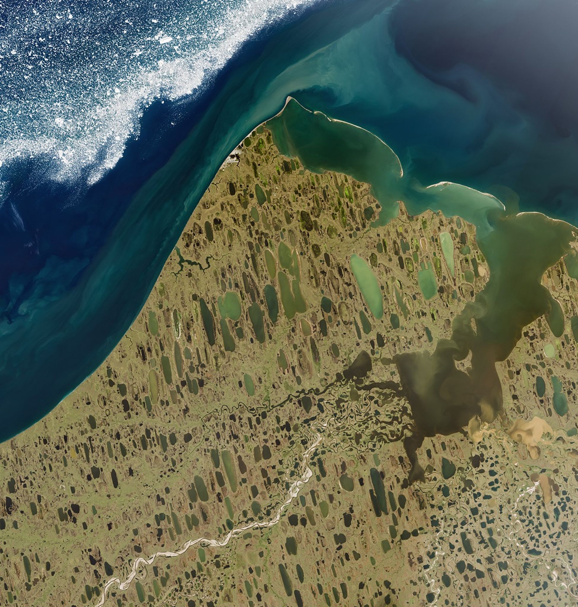 Months in the Midnight Sun - NASA Science