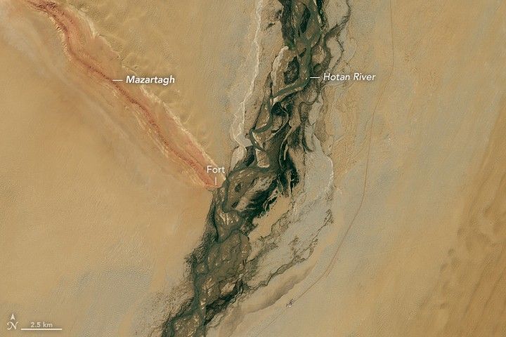 tarim basin