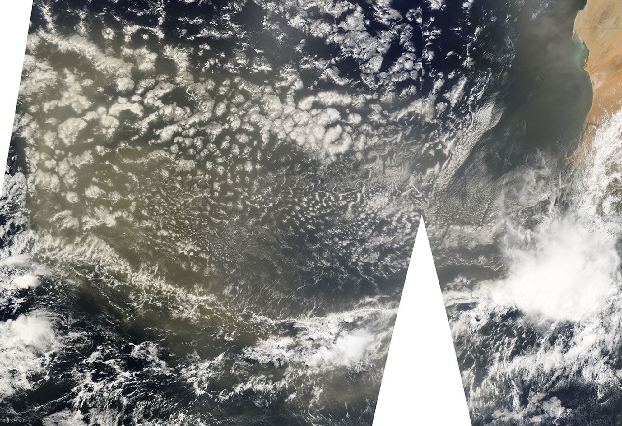 Dust Plume off Western Africa - NASA Science