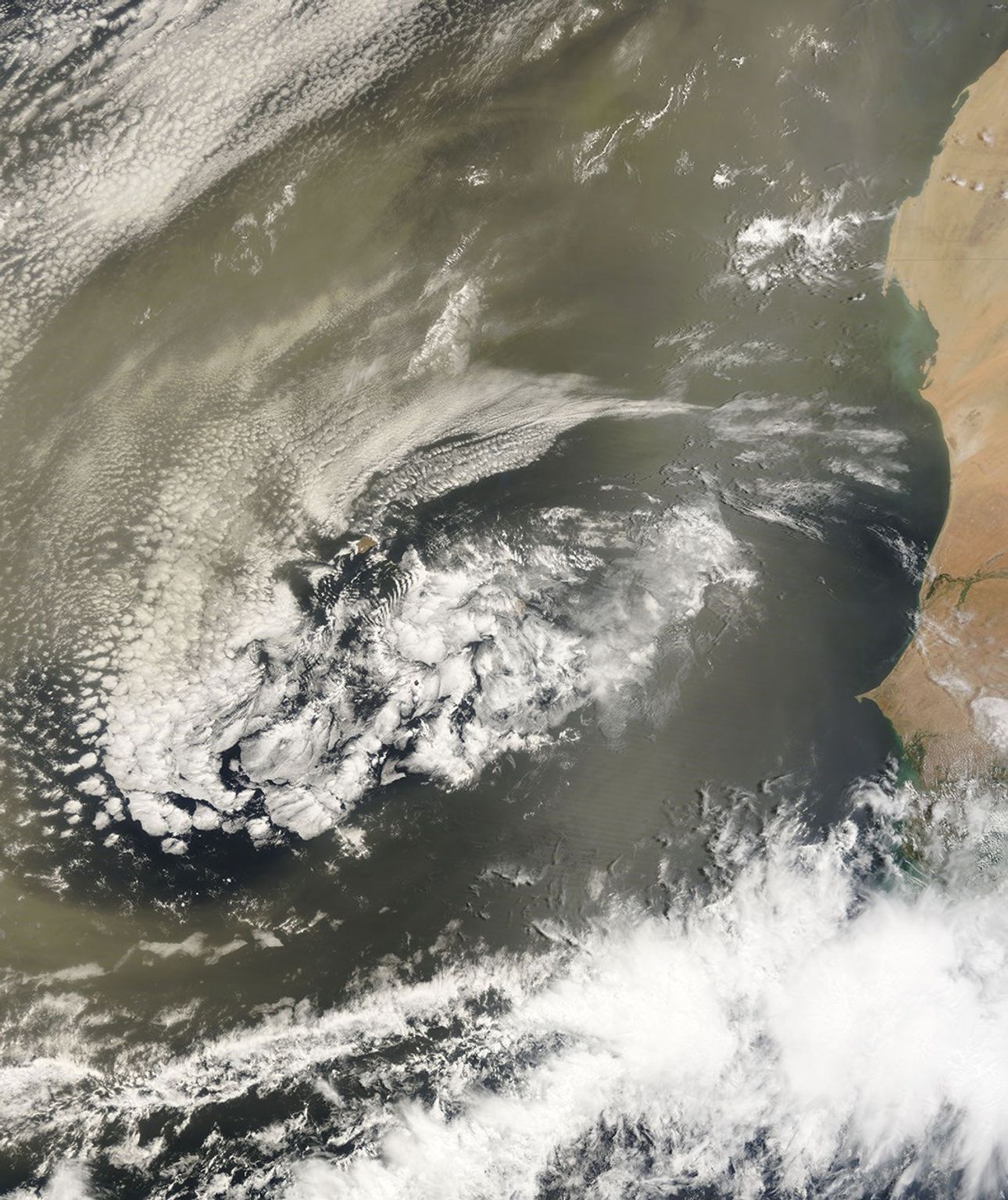 Saharan Dust Plume - NASA Science