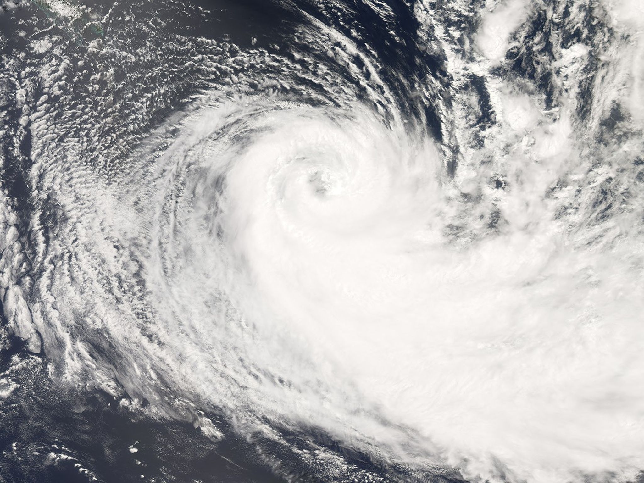 Cyclone Gene - NASA Science