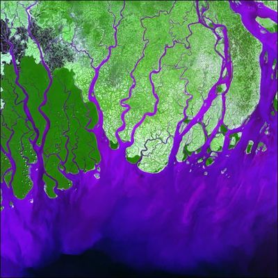 Ganges River Delta - NASA Science