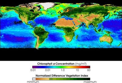 The Earth’s Biosphere - NASA Science