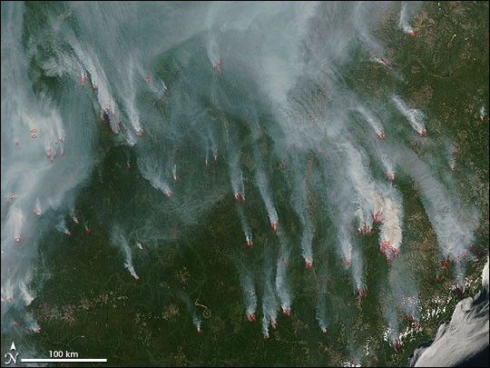 Fires in Southeastern Russia - NASA Science