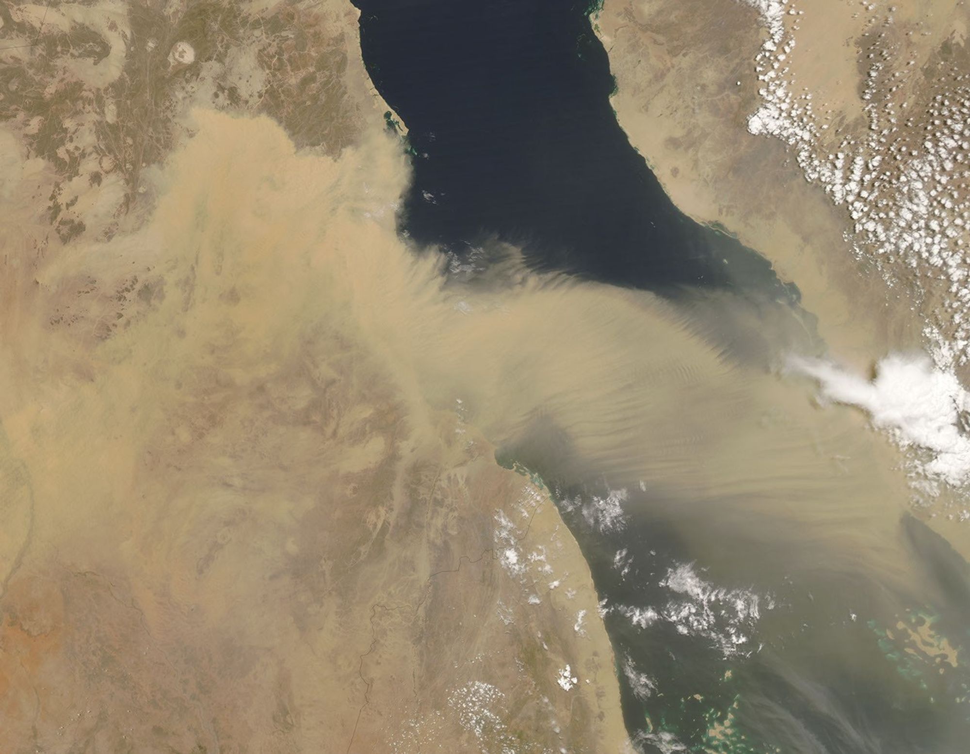 Dust Storm over the Red Sea - NASA Science