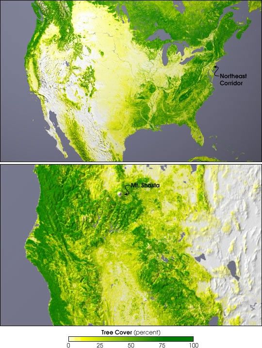 Tree Cover - NASA Science
