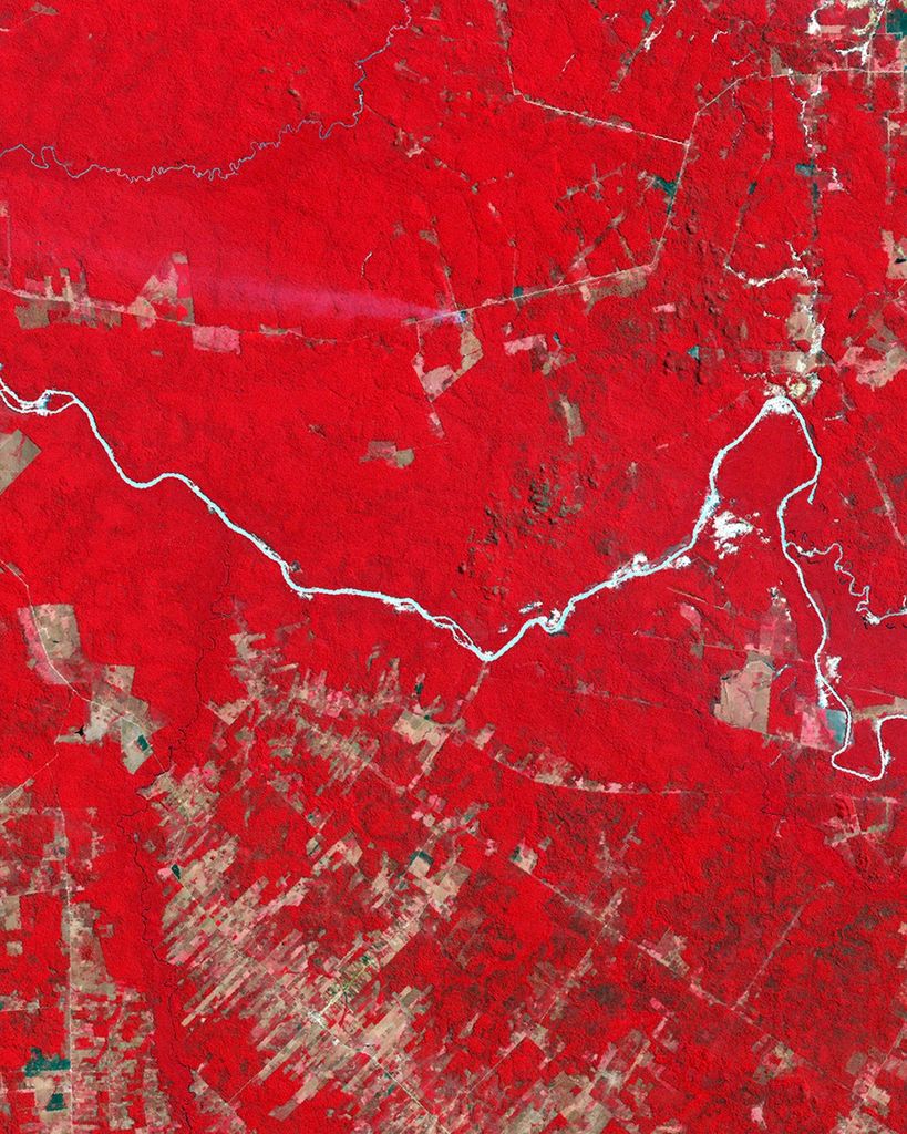 Deforestation in Mato Grosso, Brazil - NASA Science