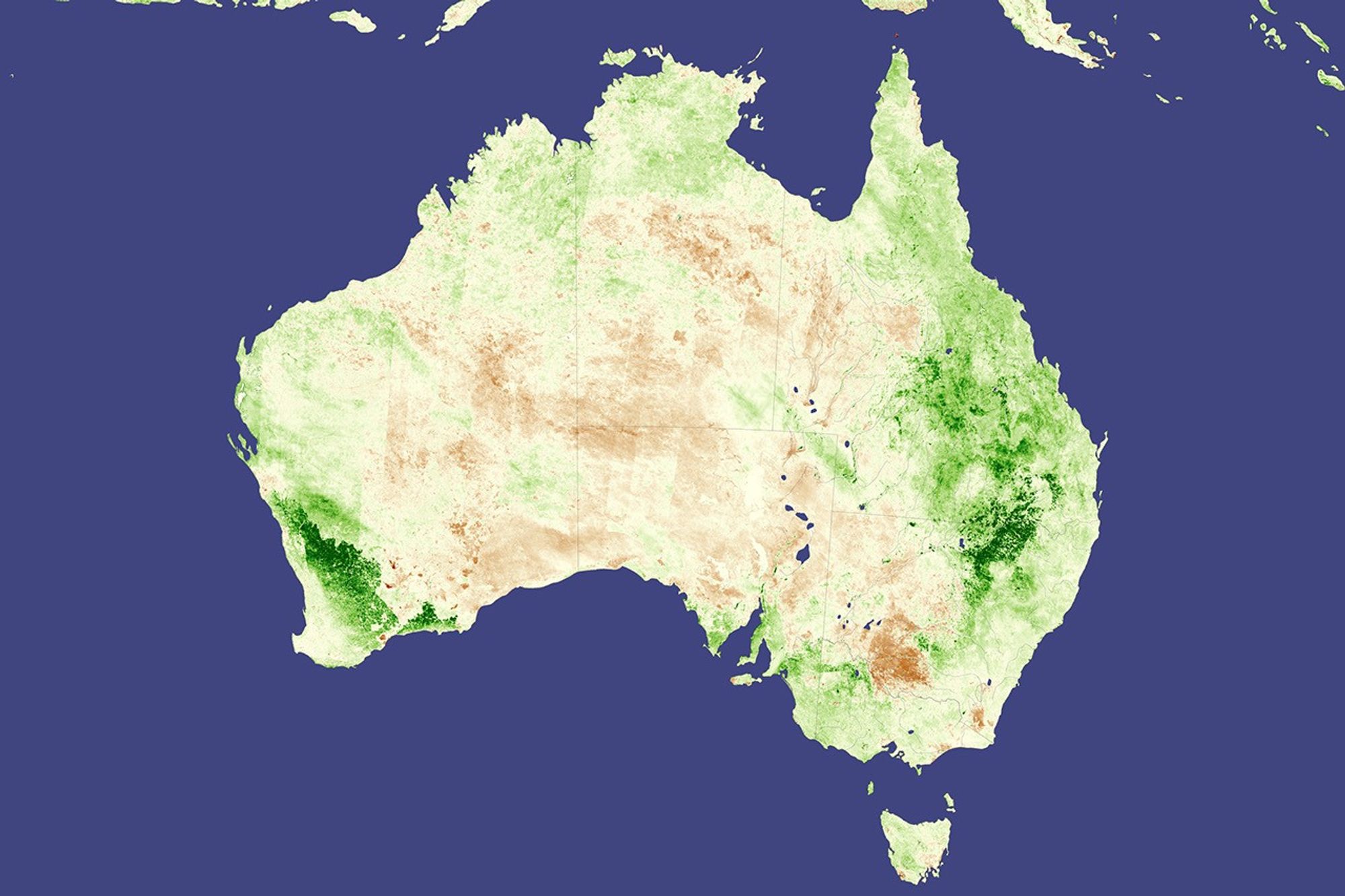 Locusts in Australia - NASA Science
