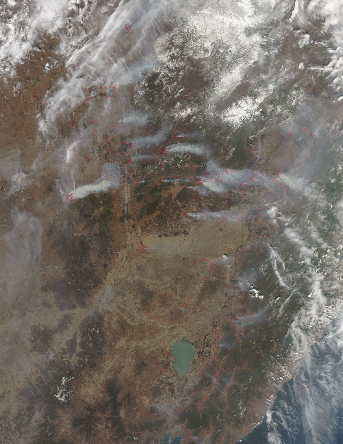 Fires in Eastern Russia - NASA Science