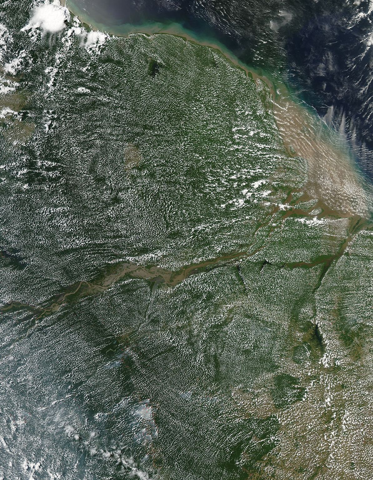 Afternoon Clouds over the Amazon Rainforest - NASA Science