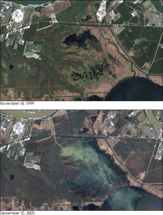 Davis Pond, Louisiana - NASA Science