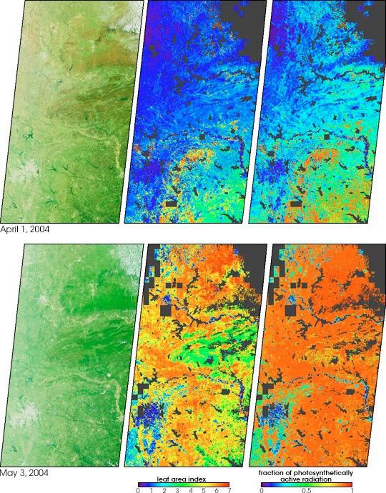 April Showers Bring May Flowers to the Southern United States - NASA ...