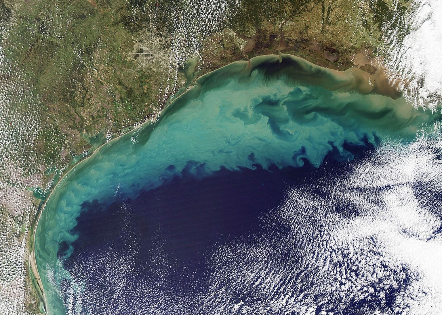 Sediment in the Gulf of Mexico - NASA Science