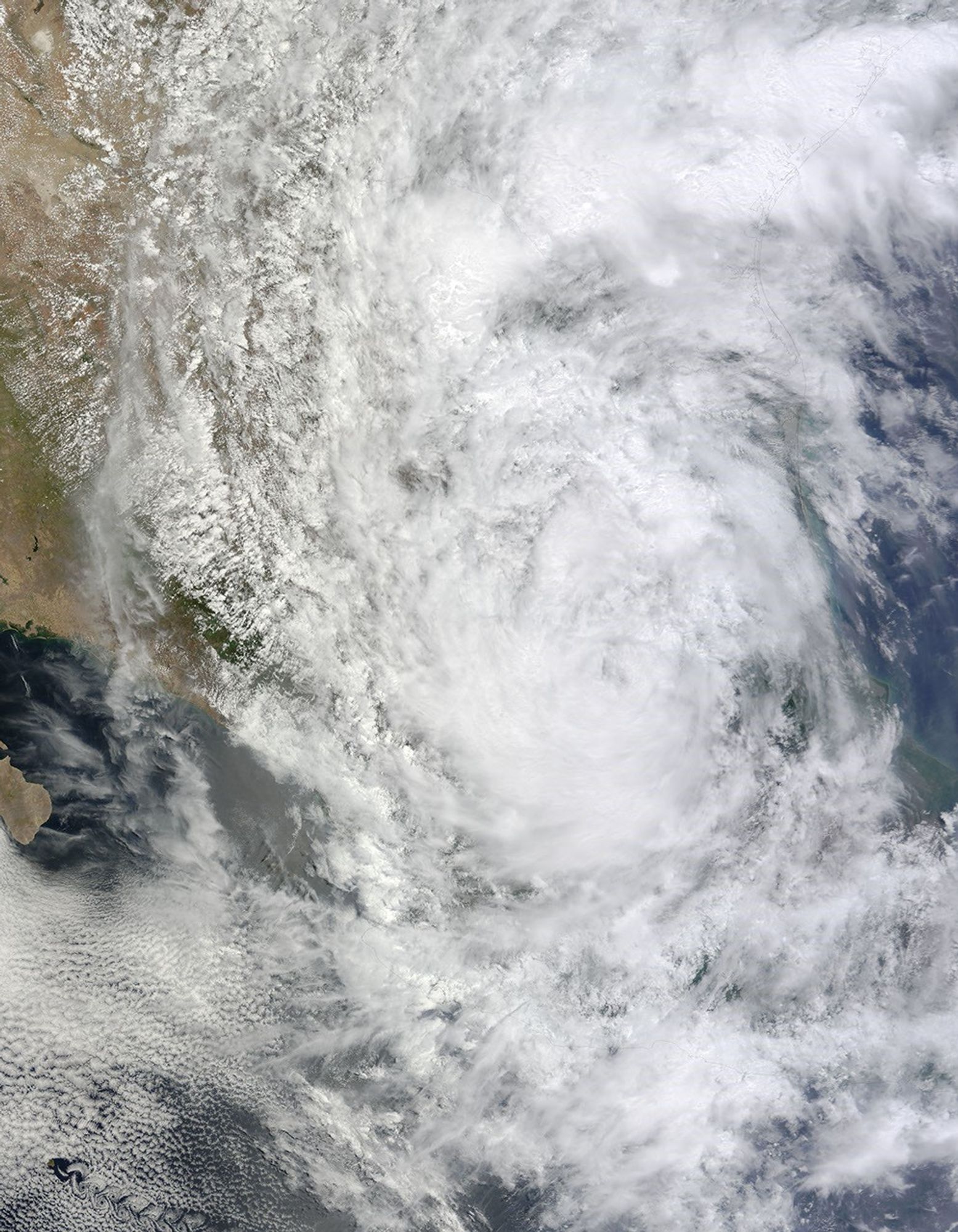 Tropical Storm Alex - NASA Science