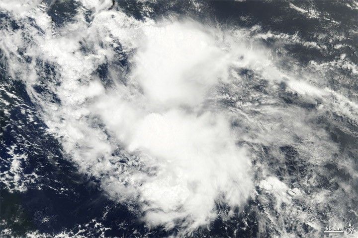 Tropical Storm Colin - NASA Science