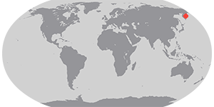 shiveluch smithsonian