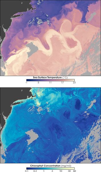 The Gulf Stream - NASA Science