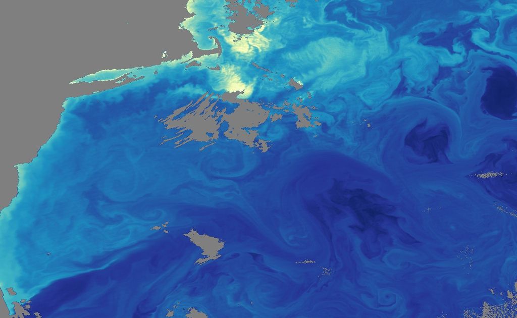 The Gulf Stream - NASA Science