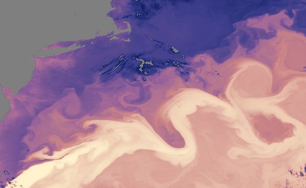 The Gulf Stream - NASA Science