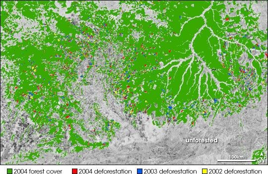 nasa deforestation data