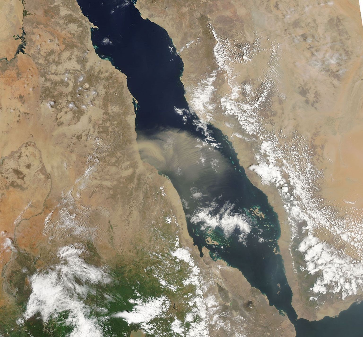Dust over the Red Sea - NASA Science