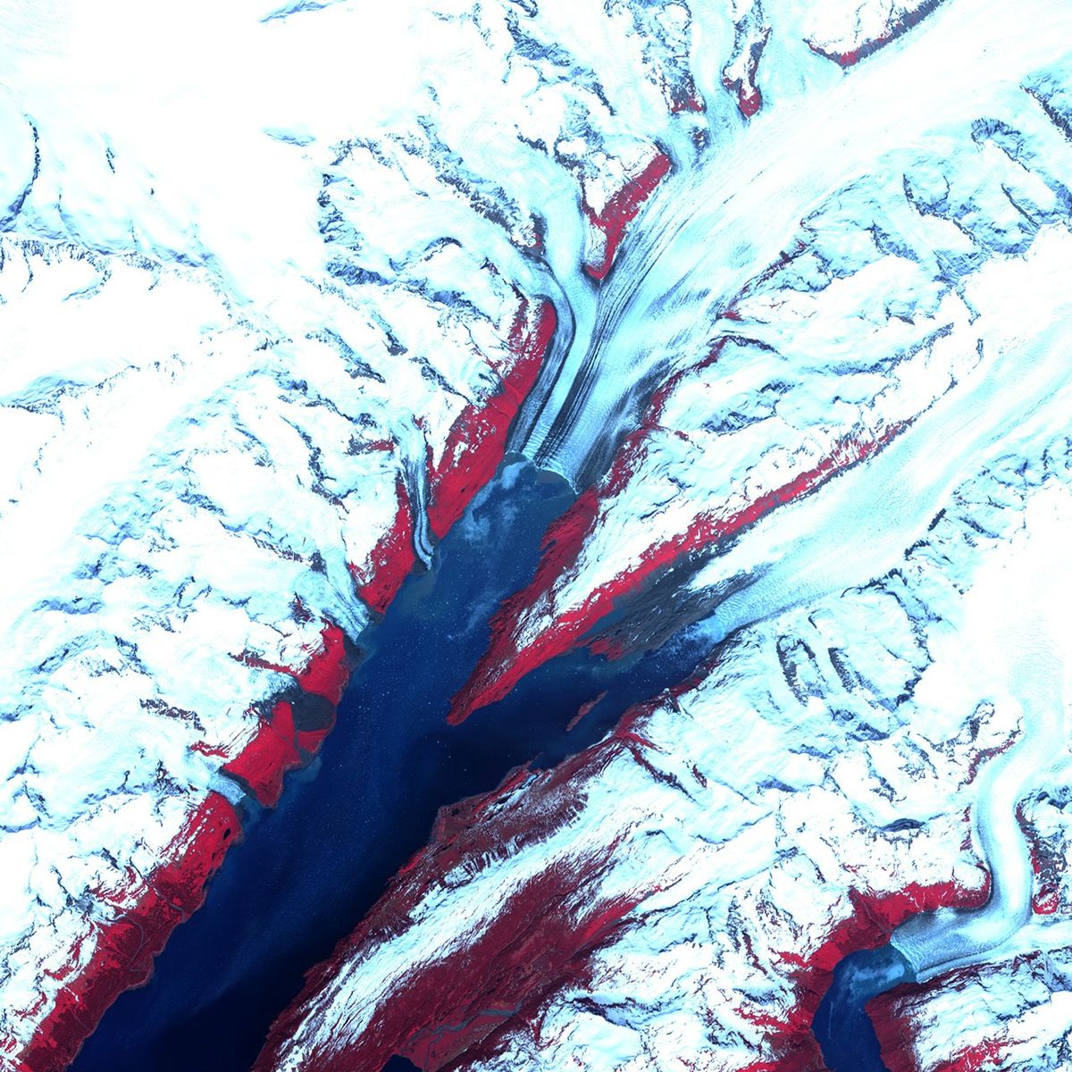 College Fjord, Alaska - NASA Science