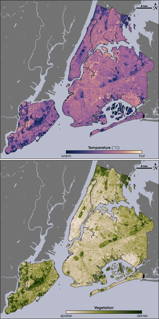 New York City Temperature and Vegetation - NASA Science