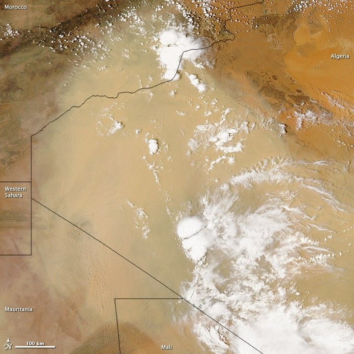 Saharan Dust Storm - NASA Science