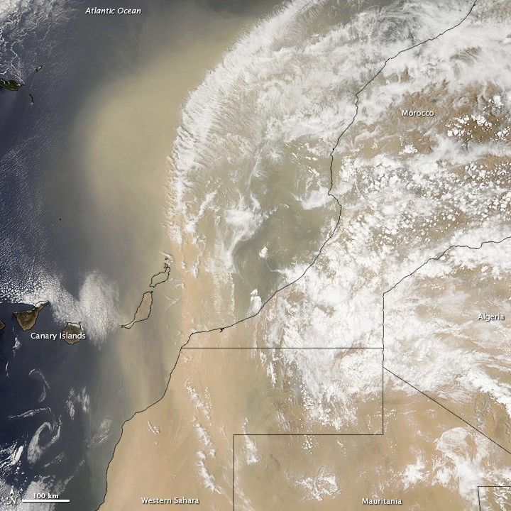 Saharan Dust Storm - NASA Science