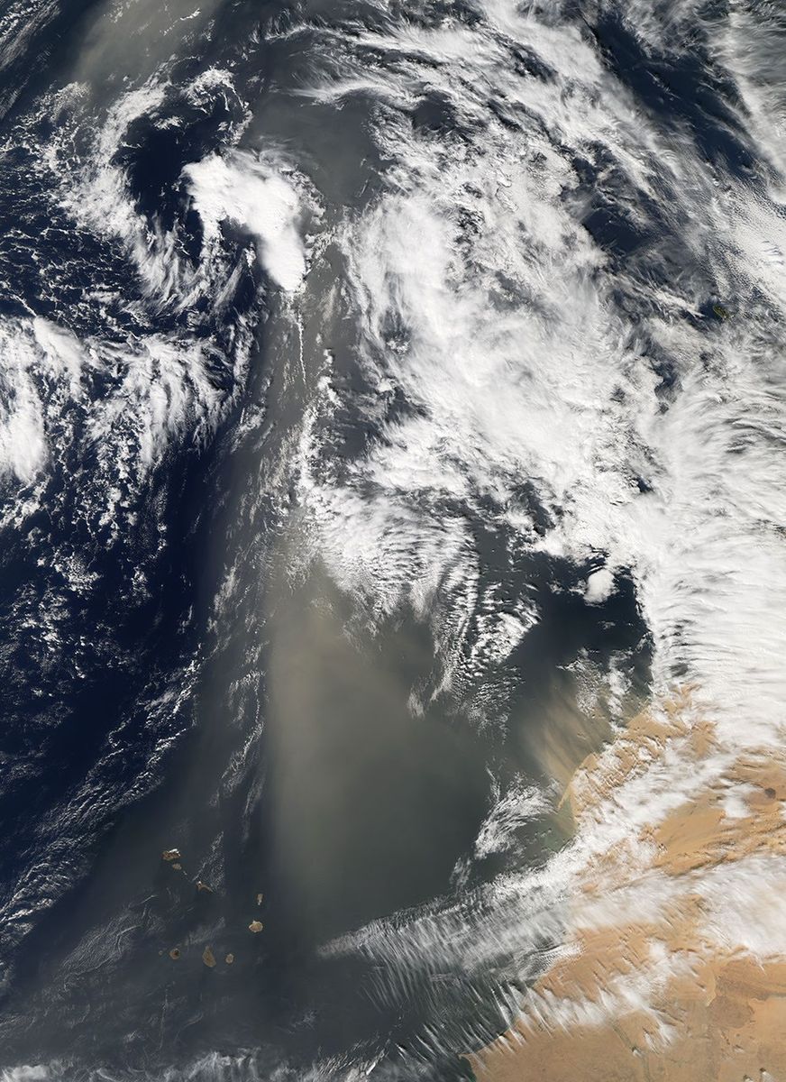 Dust Storm off Western Sahara - NASA Science