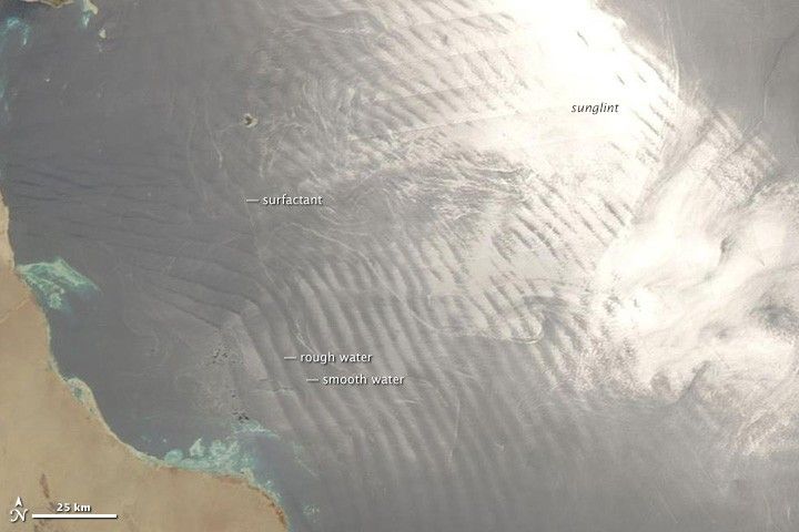 Ocean Revealed - NASA Science