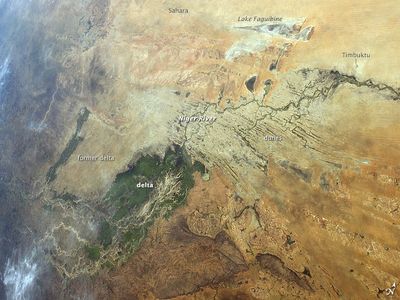 Inland Delta of the Niger River - NASA Science