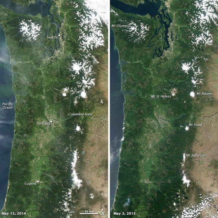 snowpack levels oregon