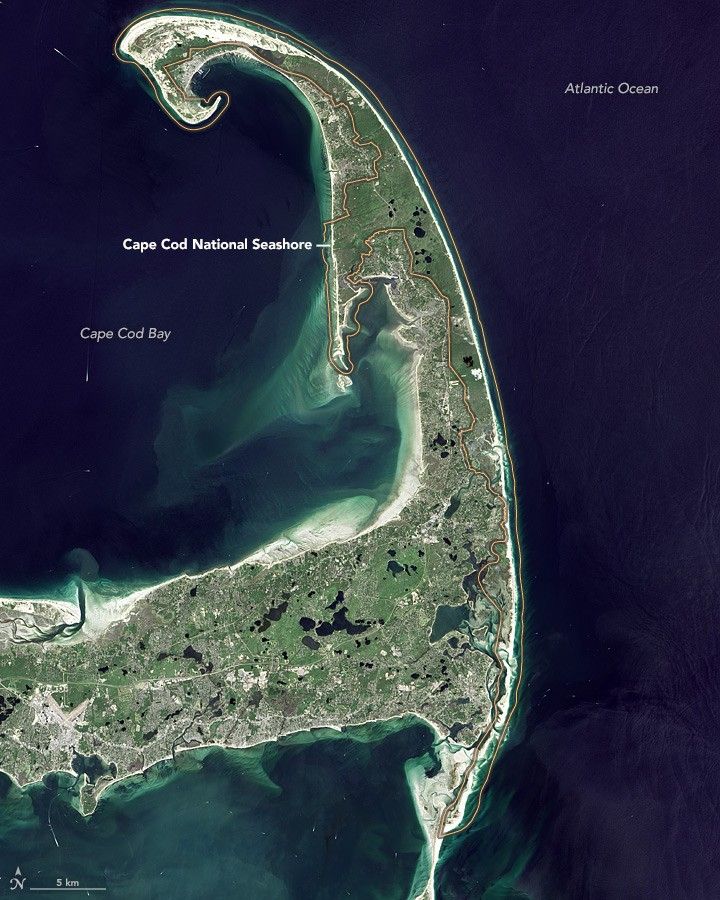 cape cod landform