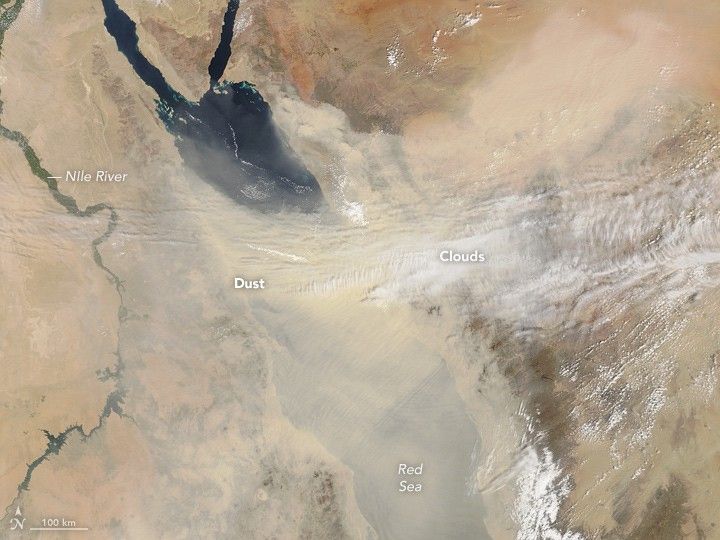 Dust Obscures the Red Sea - NASA Science