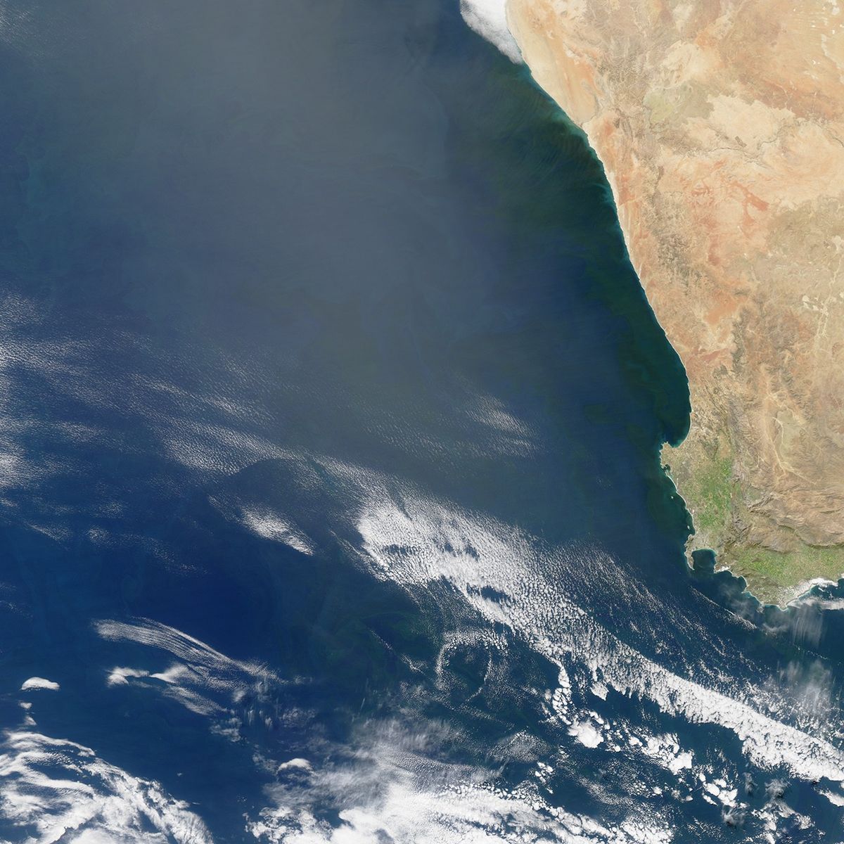 Finding Life in the Benguela Current - NASA Science