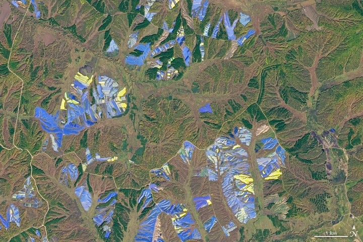 Ginseng Farms in Northern China - NASA Science