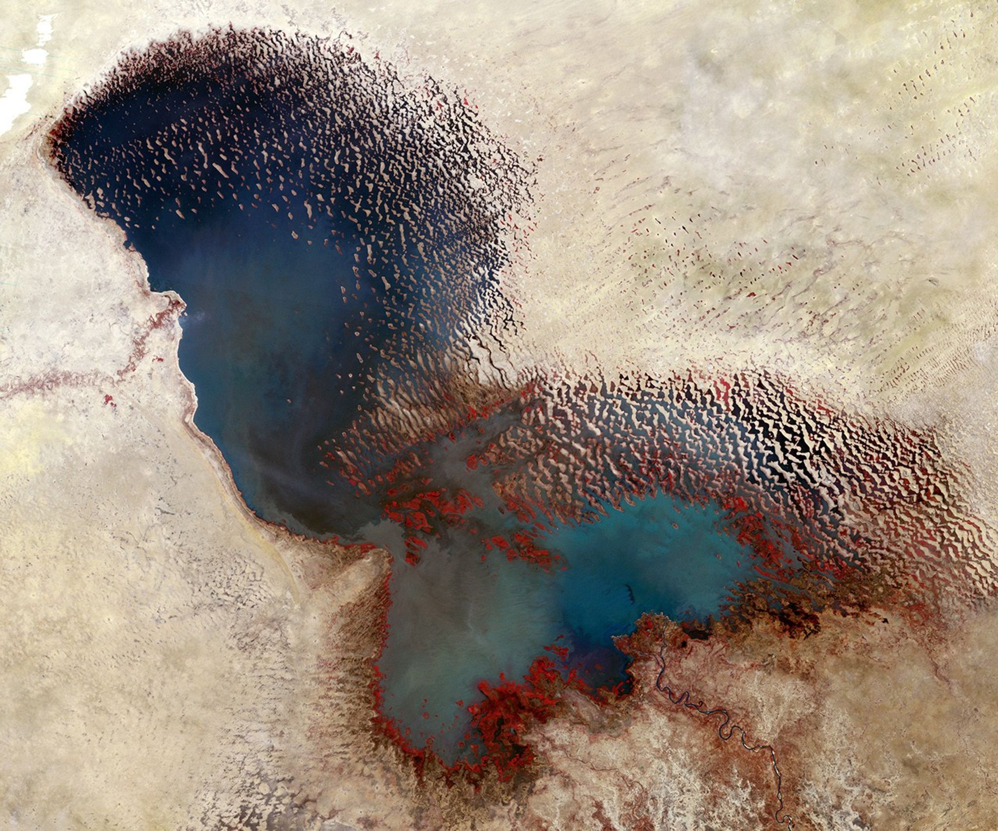 The Ups and Downs of Lake Chad - NASA Science