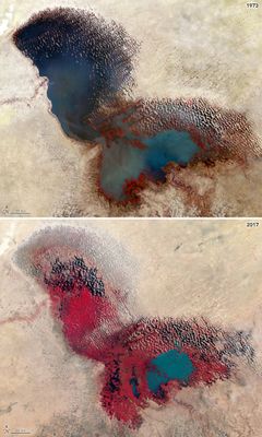 The Ups and Downs of Lake Chad - NASA Science