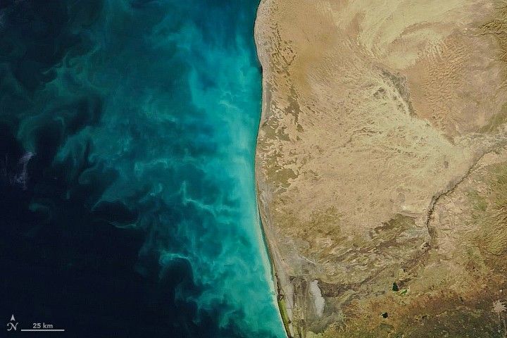 Tendrils of Sediment in the Caspian Sea - NASA Science