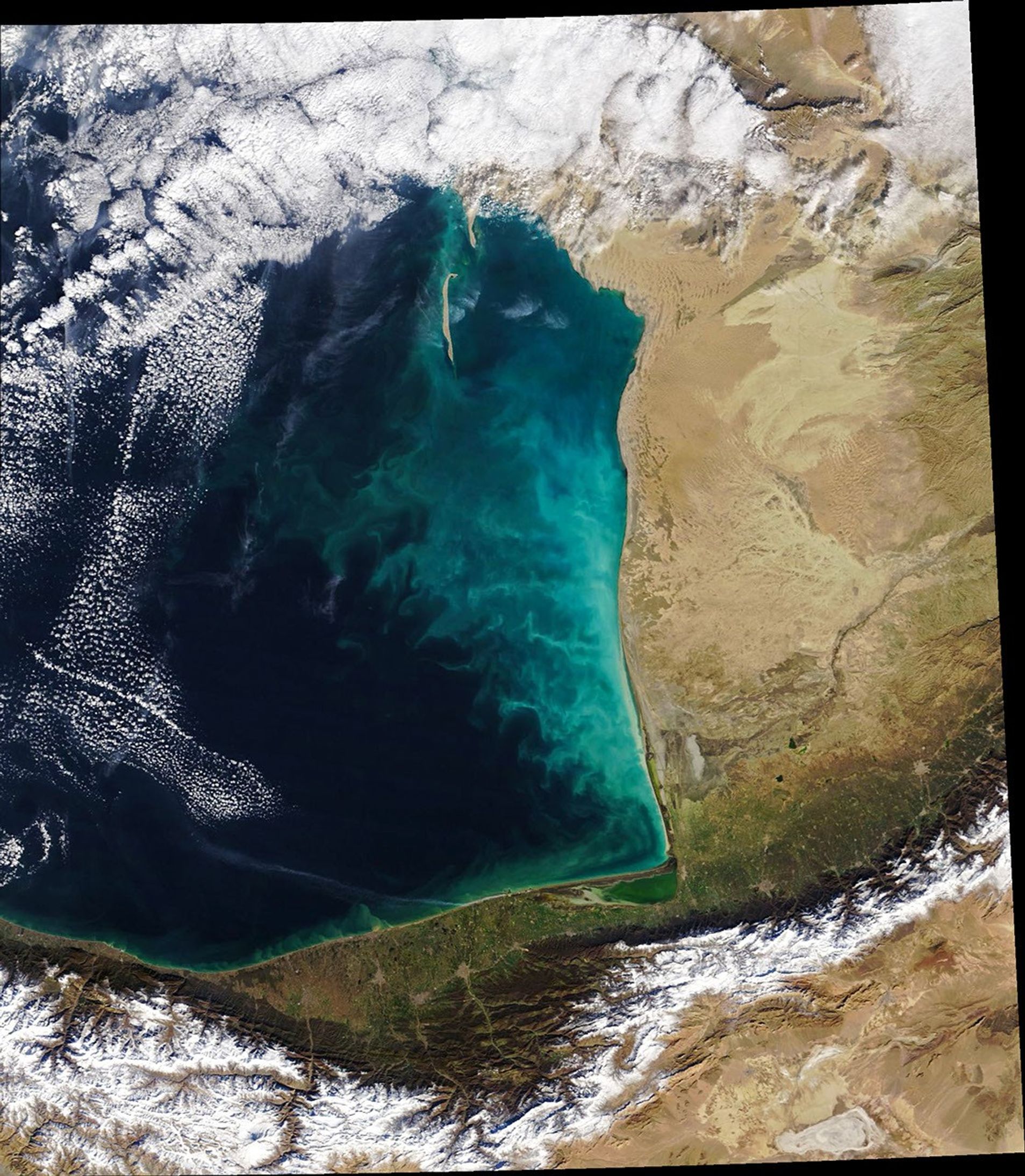 Tendrils of Sediment in the Caspian Sea - NASA Science
