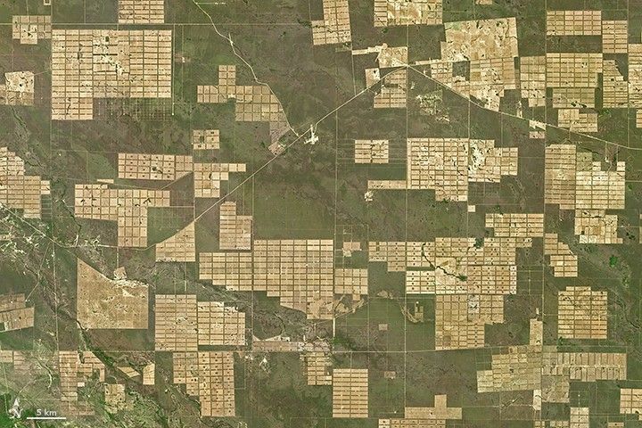 nasa deforestation