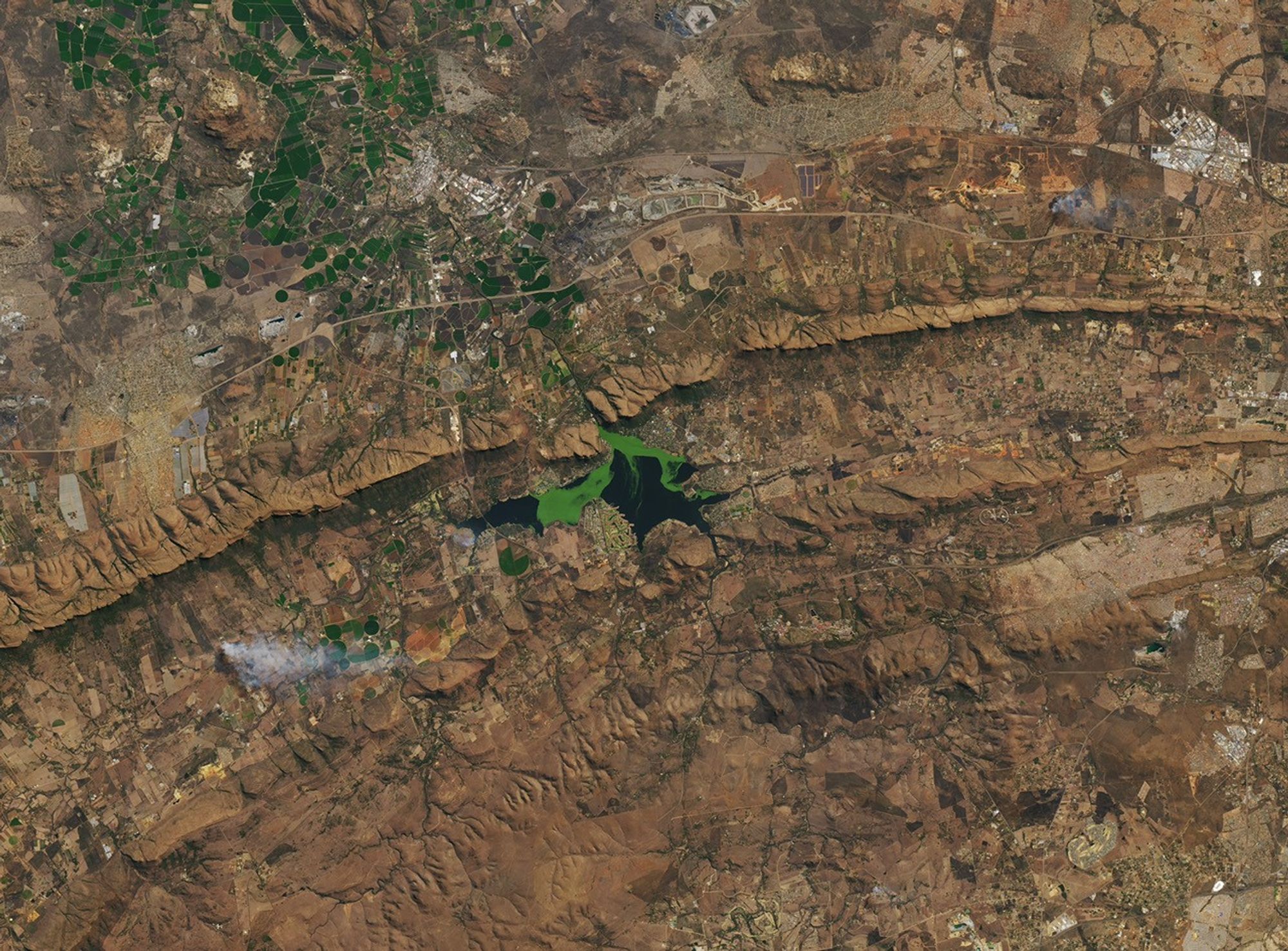 Algae Swirls Across a South African Reservoir - NASA Science