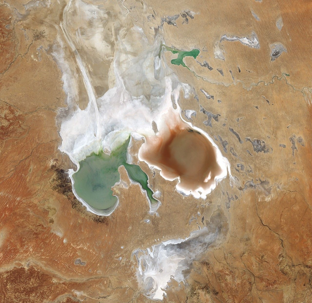 Lake Eyre Blushes - NASA Science