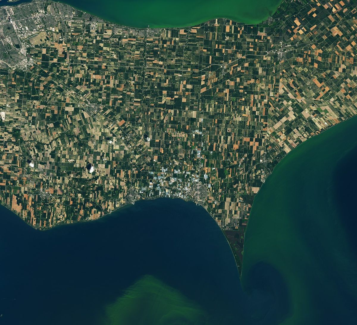 North America’s Greenhouse Hub - NASA Science